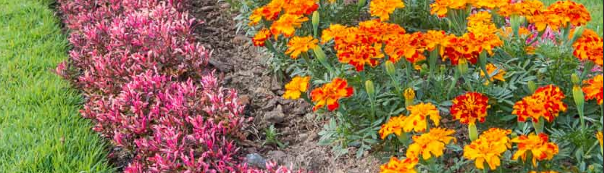 Domestic Grey Water Distribution Kits – Irrigation Store Online