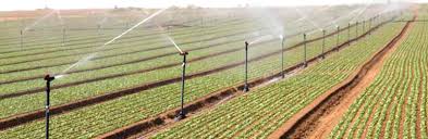 Rigid Poly Risers – Irrigation Store Online